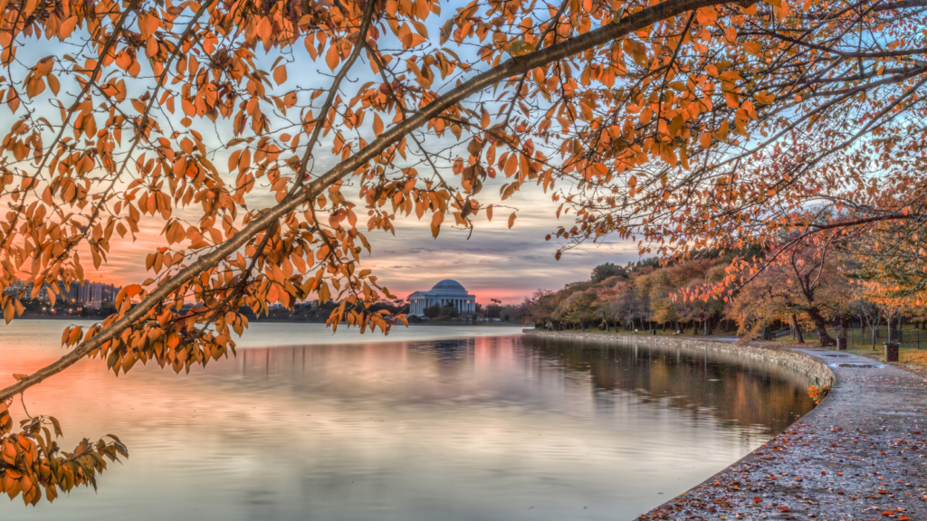 Autumn in the Capital: Fall Foliage, Cultural Festivals, and Halloween ...
